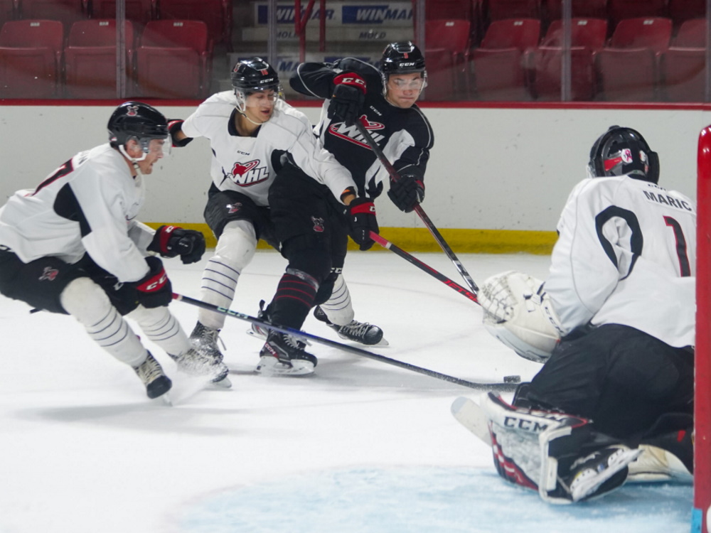 Warriors announce schedule for 2025 Training Camp - DiscoverMooseJaw.com - Local news, Weather ...